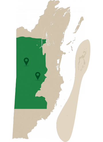 San Ignacio Belize| Cayo Belize| Guide to San Ignacio Belize