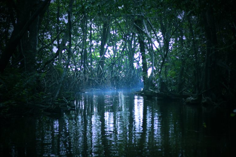 15 Mind-Blowing Belize Landscapes