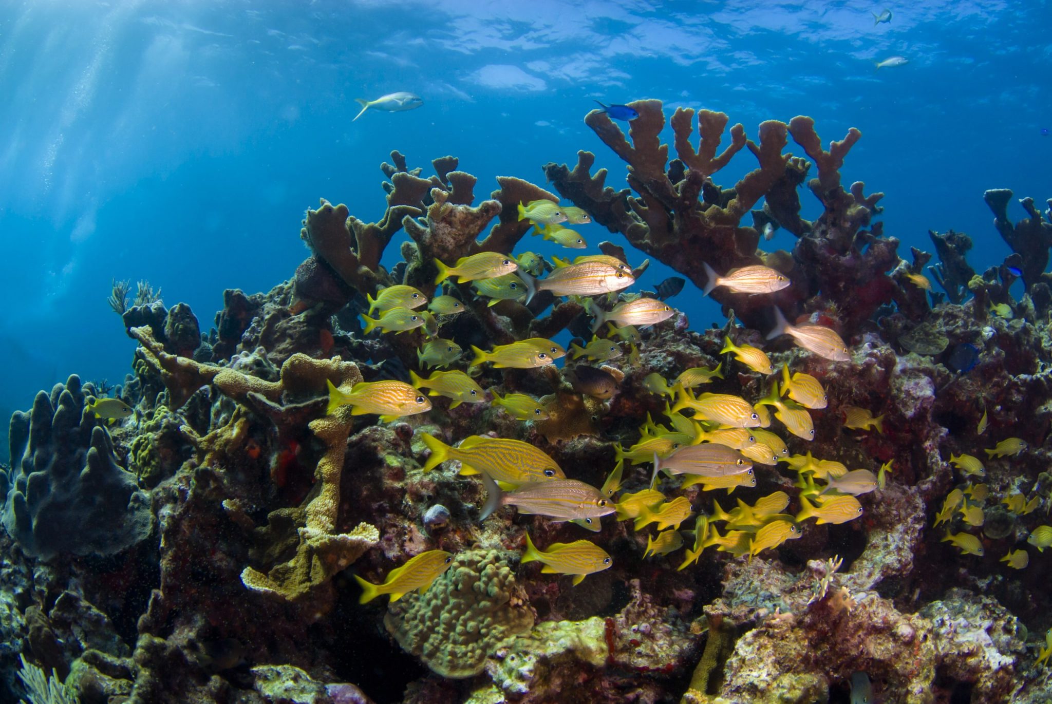 Belize Travel Blog: The Best Travel Articles & Advice on Belize
