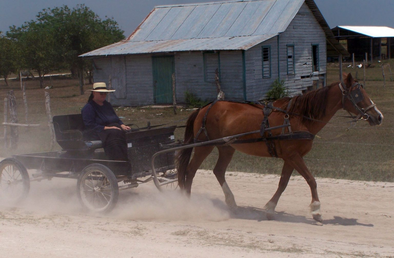 The Northern Lowlands of Belize - Orange Walk and Corozal Districts