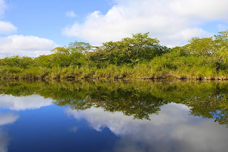 101 Fascinating Facts About Belize, Central America