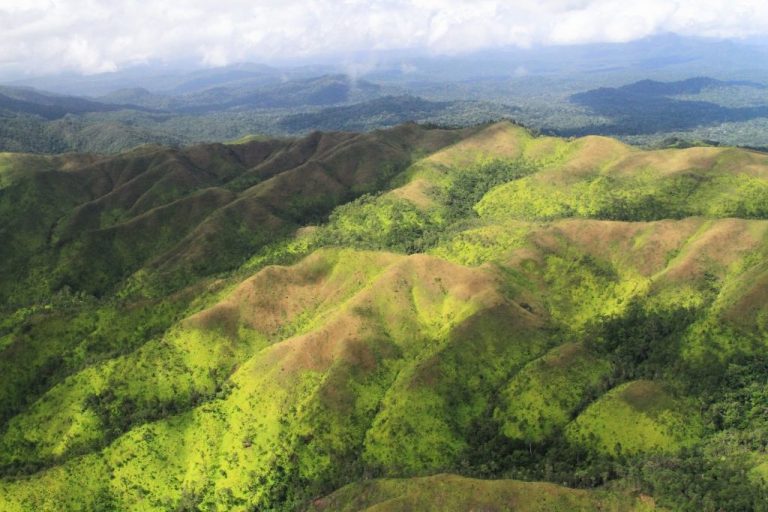 Belize Rainy Season Guide: Why & When To Visit | Best Time To Visit