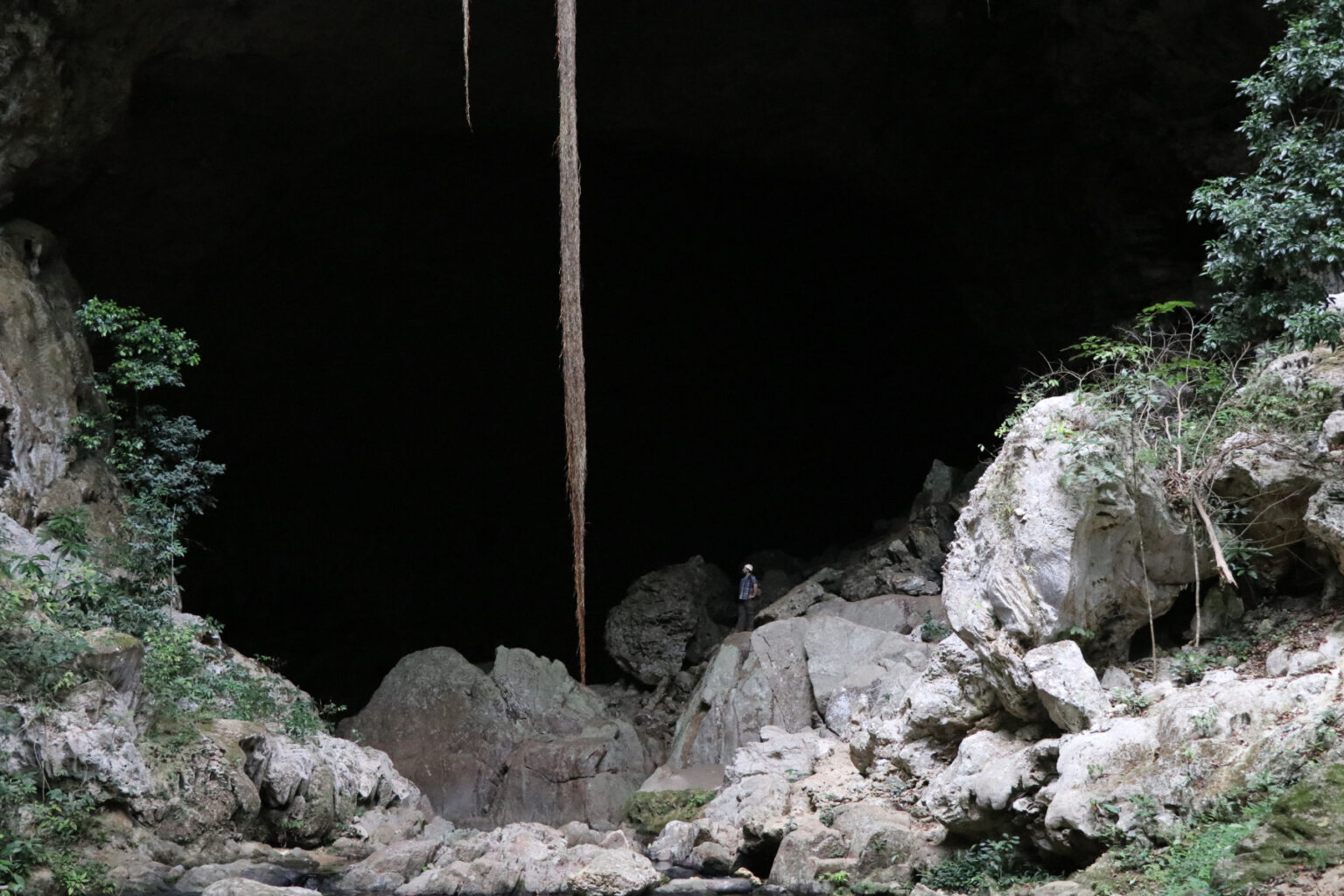 Untold Stories of Maya Caves and Jon Spenard's Remarkable Discoveries